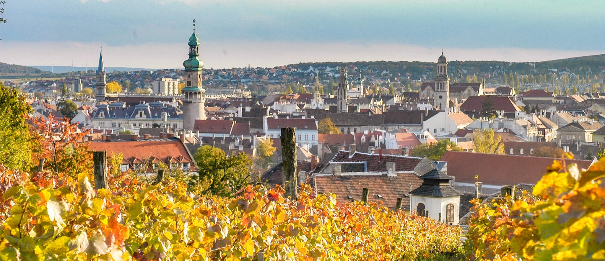 Sopron area - Soproni borvidék